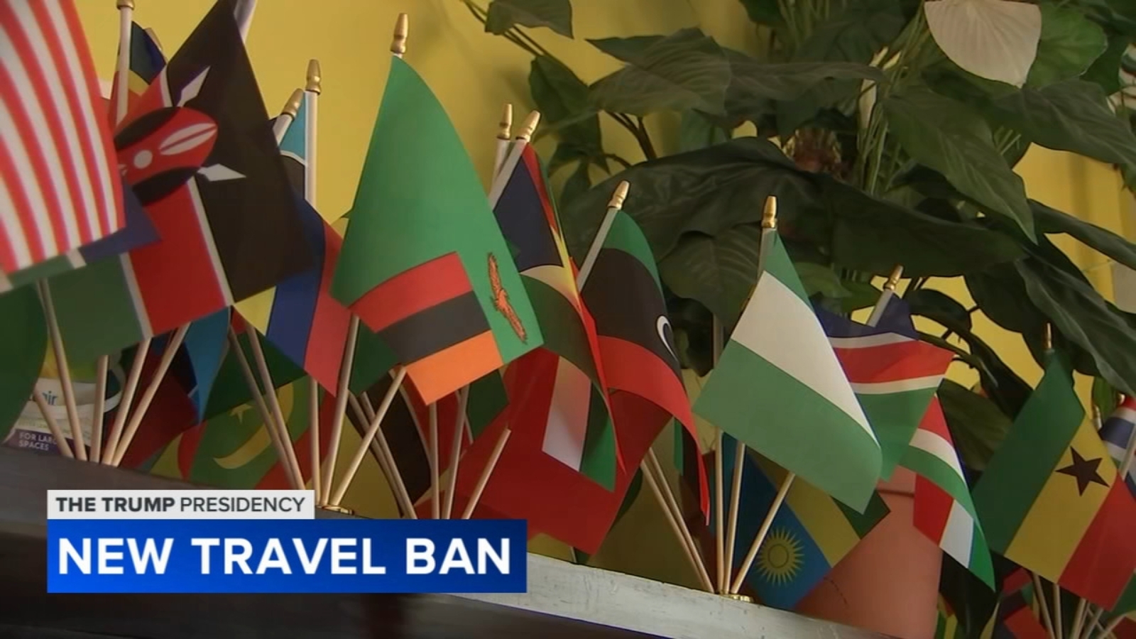 President Donald Trump's resurrected travel ban on 12 countries to ...