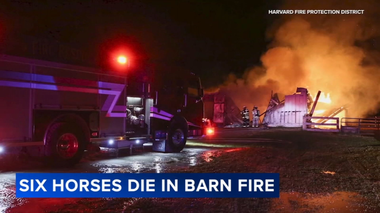 Barn fire McHenry County: 6 horses killed in Harvard fire in 19100 ...