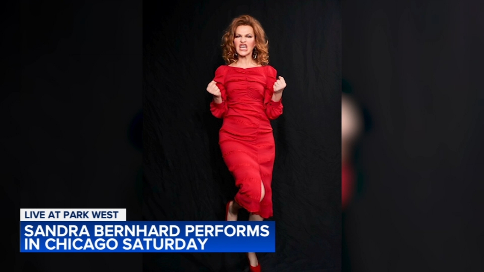 Actress, singer, comedian Sandra Bernhard performing stand-up comedy at ...