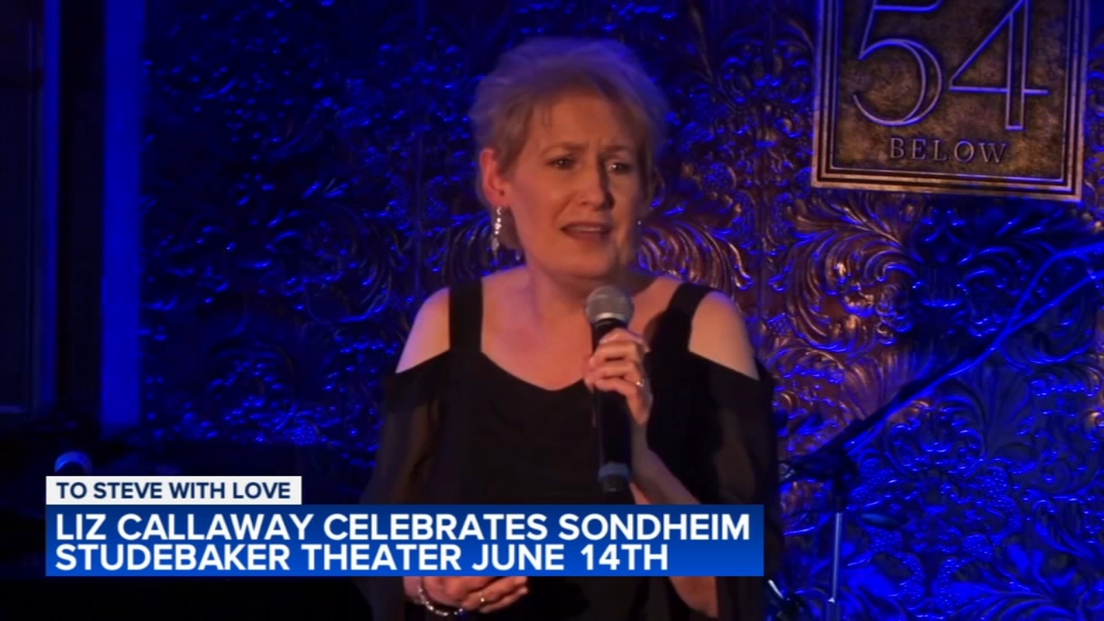 Broadway star Liz Callaway brings 'To Steve With Love: Liz Callaway ...