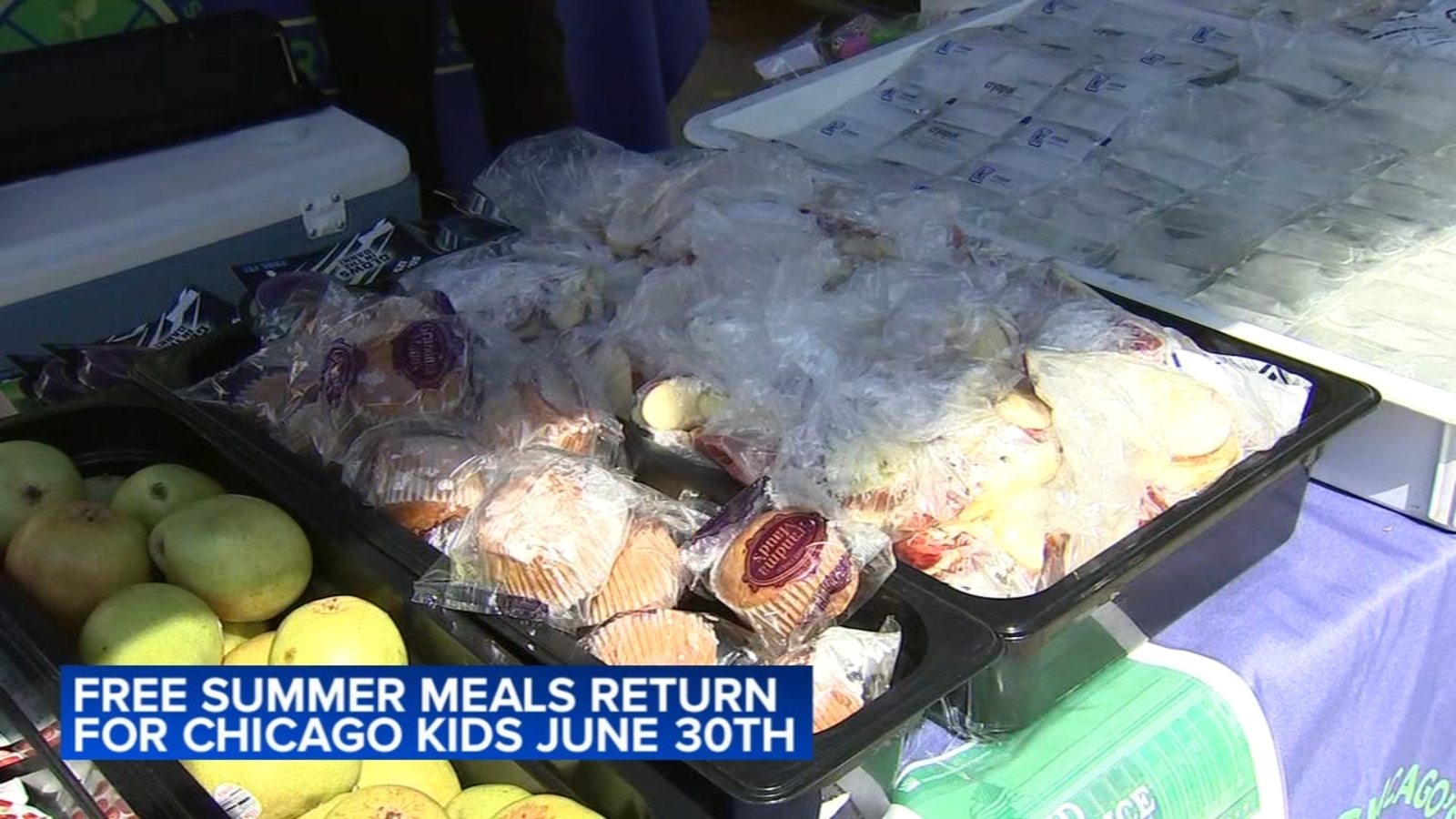 Chicago Public Schools' Free summer meals program for Chicago children ...