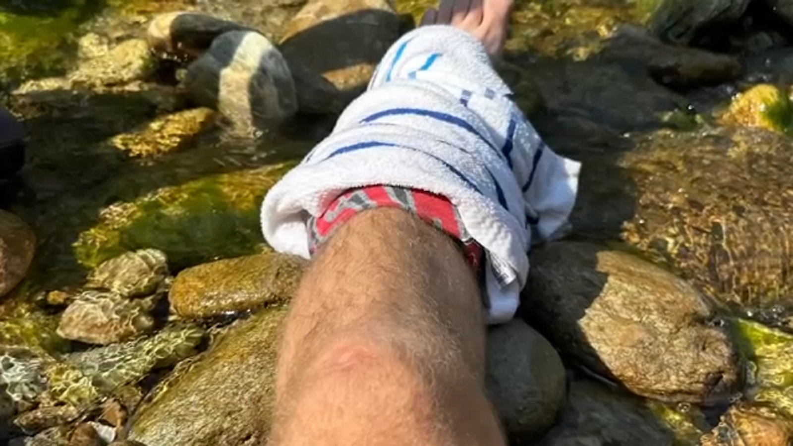 Timber rattlesnake bites Chapel Hill, North Carolina high school ...