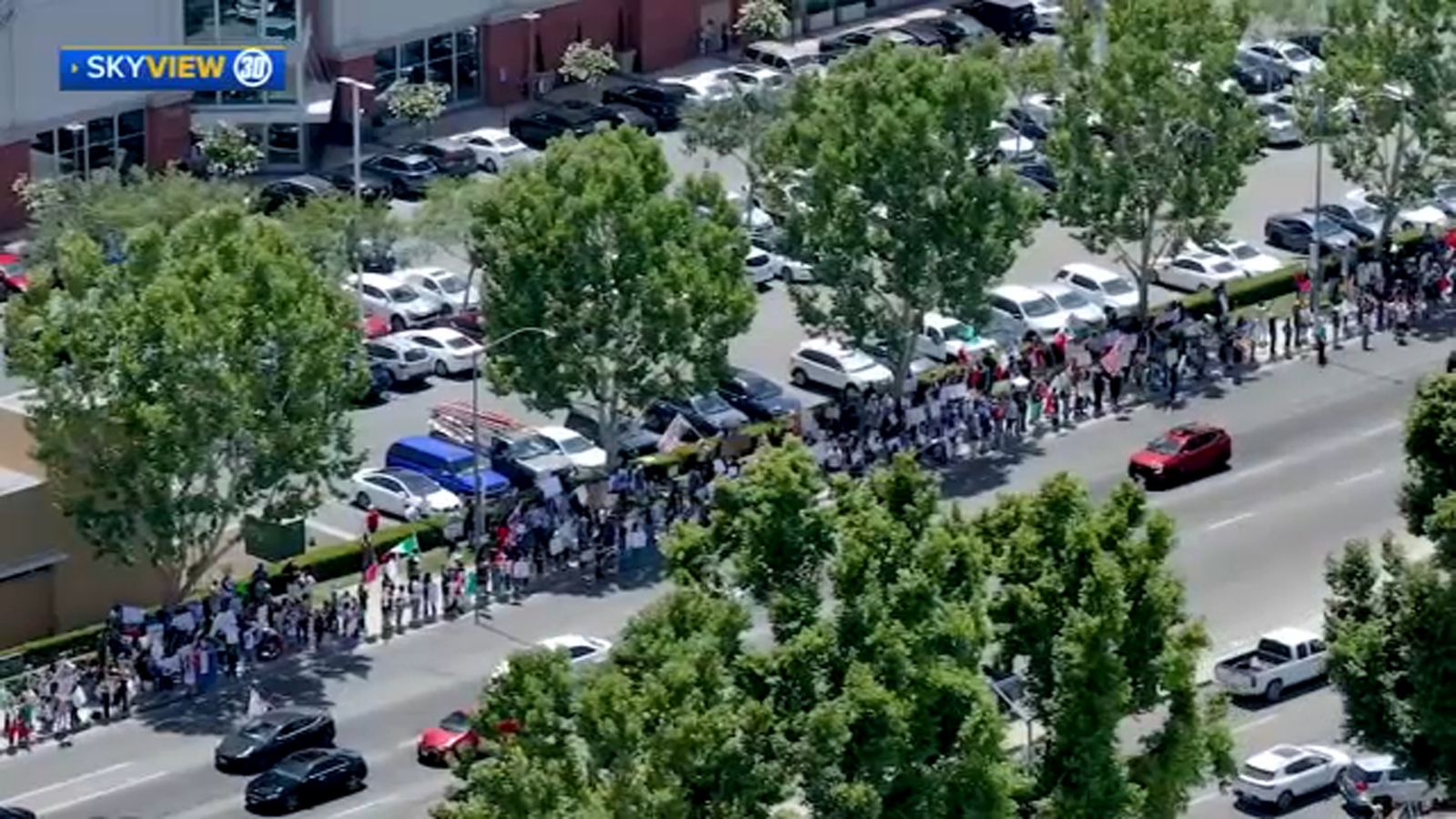 Hundreds gather in Fresno for No Kings Day protest - ABC30 Fresno