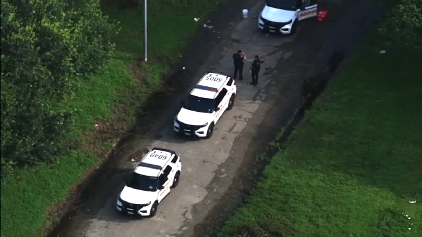 Carjacking suspect arrested after victim shot on Blue Bell Road in ...