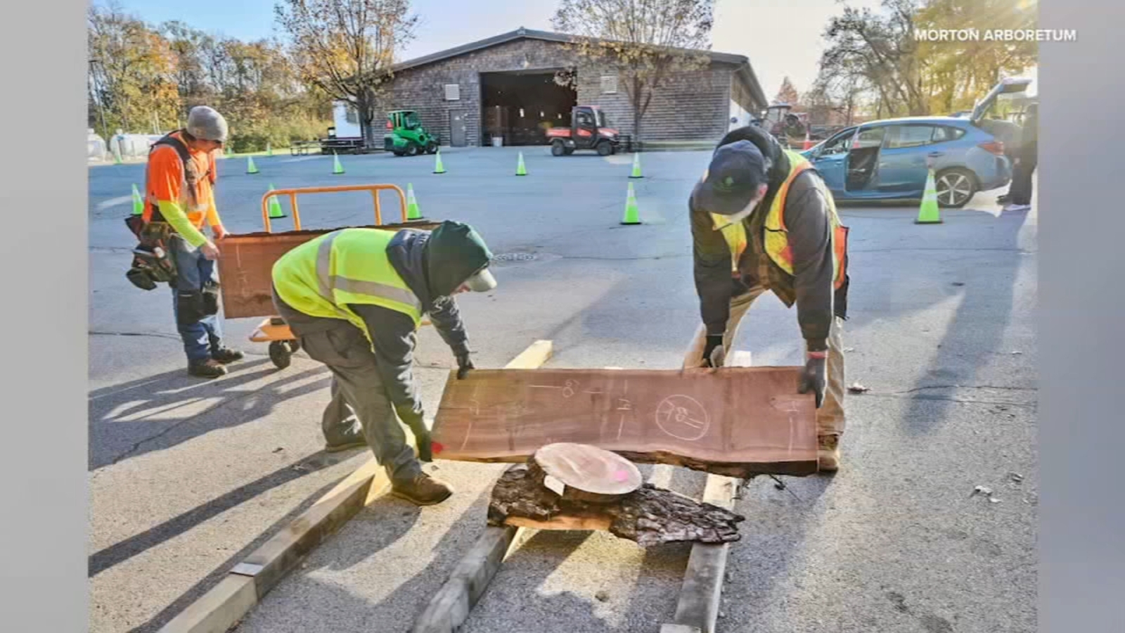 Morton Arboretum in Lisle to host annual Wood Slab Sale this Saturday ...