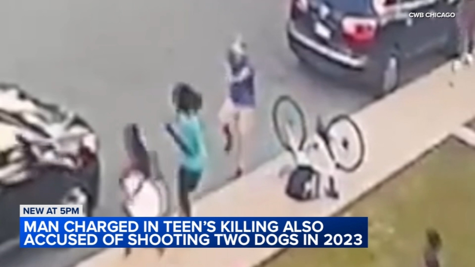 Video shows what led up to Chicago shooting at Douglass Park that ...