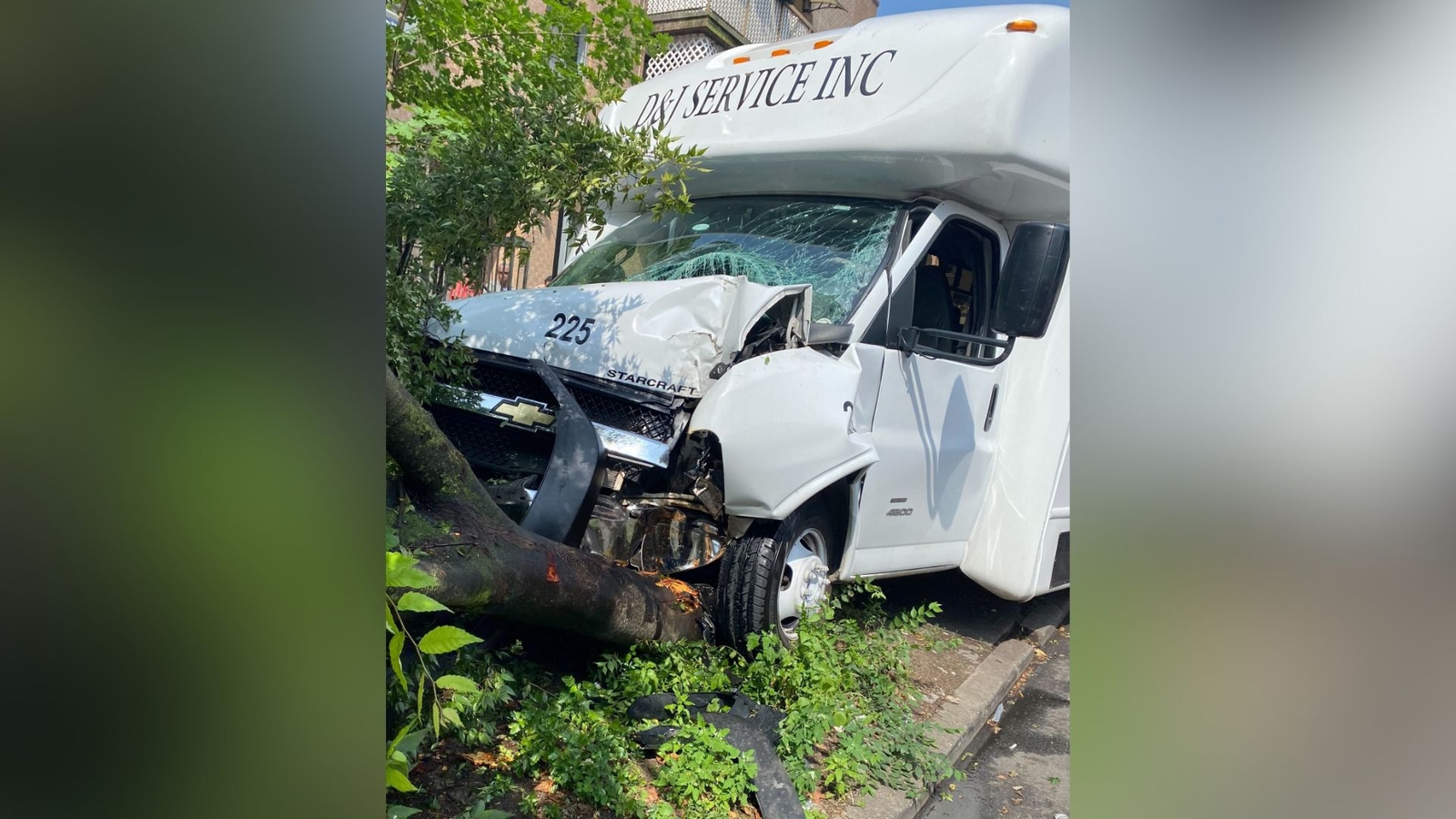 Transport van crashes into tree in Bath Beach, Brooklyn, injuring 14 ...