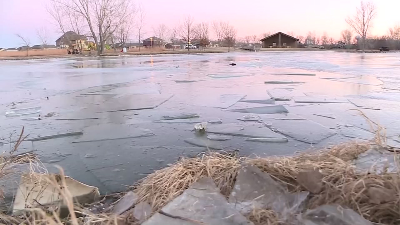 Los Gatos Mom, son die after entire family falls into frozen pond ...