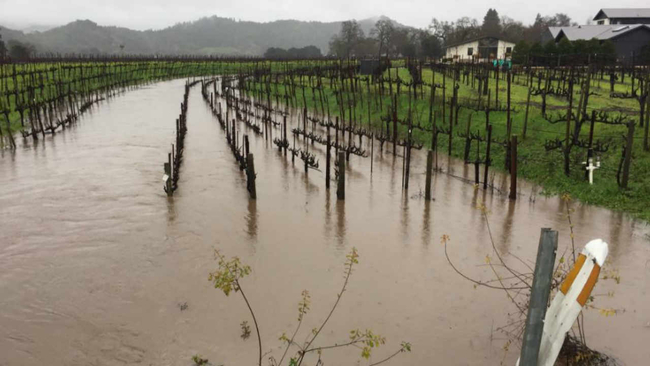 Monte rio News - ABC7 San Francisco