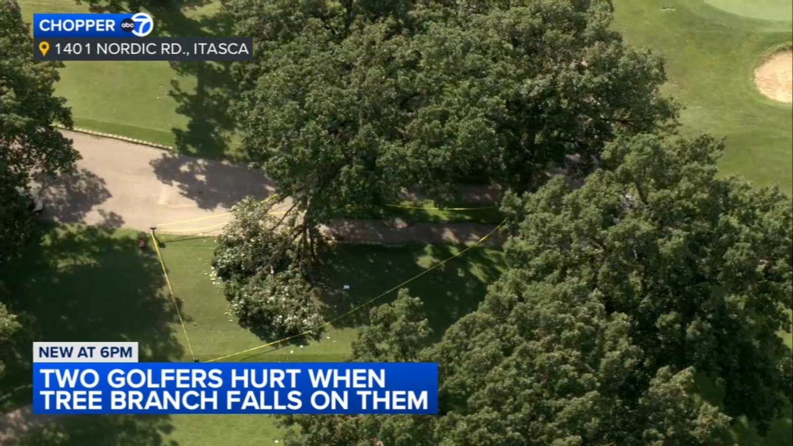2 golfers injured by large tree branch at Eaglewood Golf Course in ...
