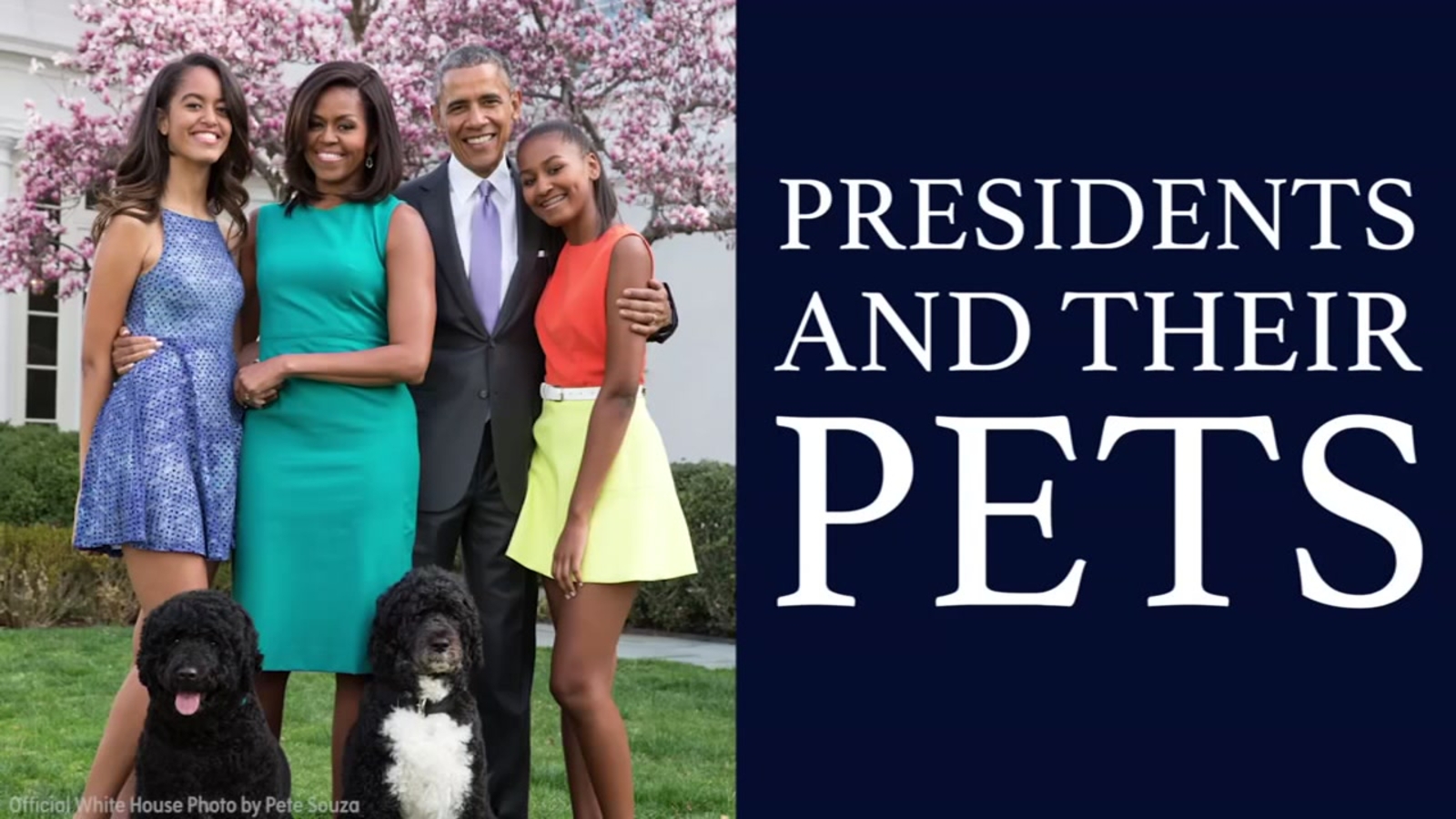 Presidents and their pets - ABC7 San Francisco