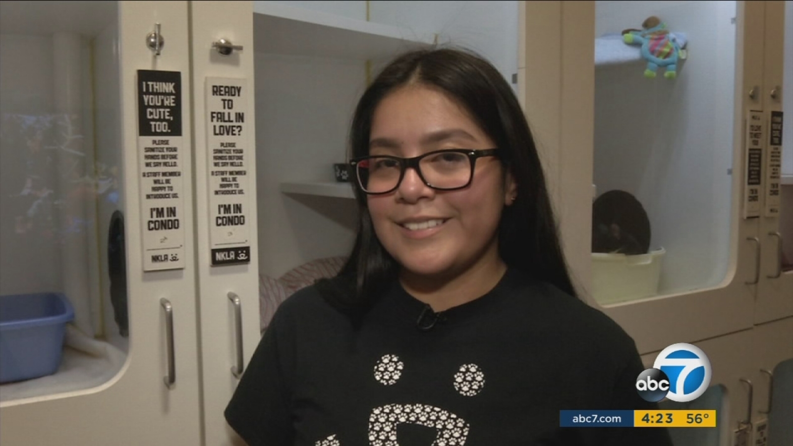 Cool Kid Emily Lopez helps find cats, dogs their forever home - ABC7 ...