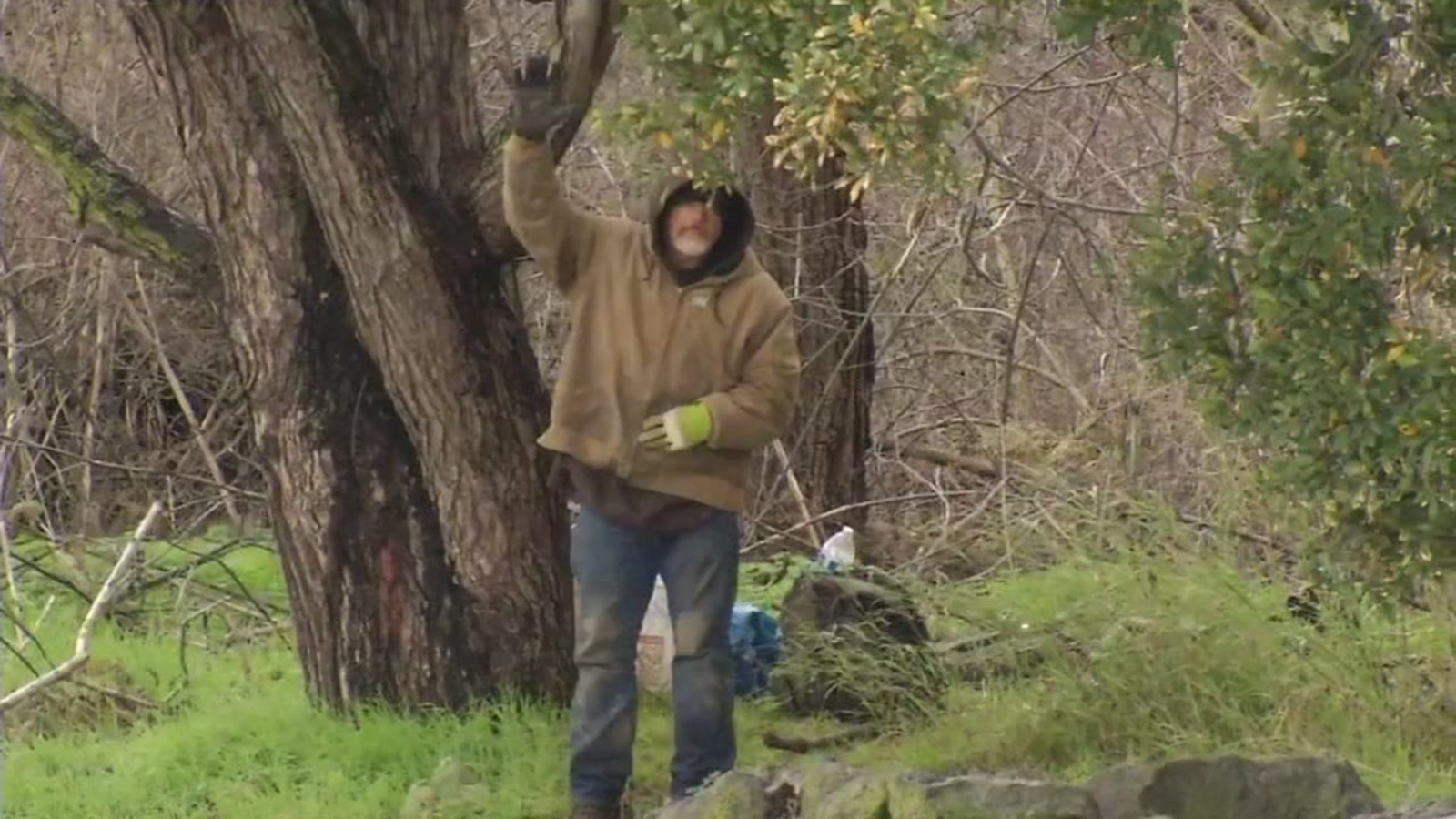 Transient man rescued from island in Coyote Creek in Milpitas - ABC7 ...