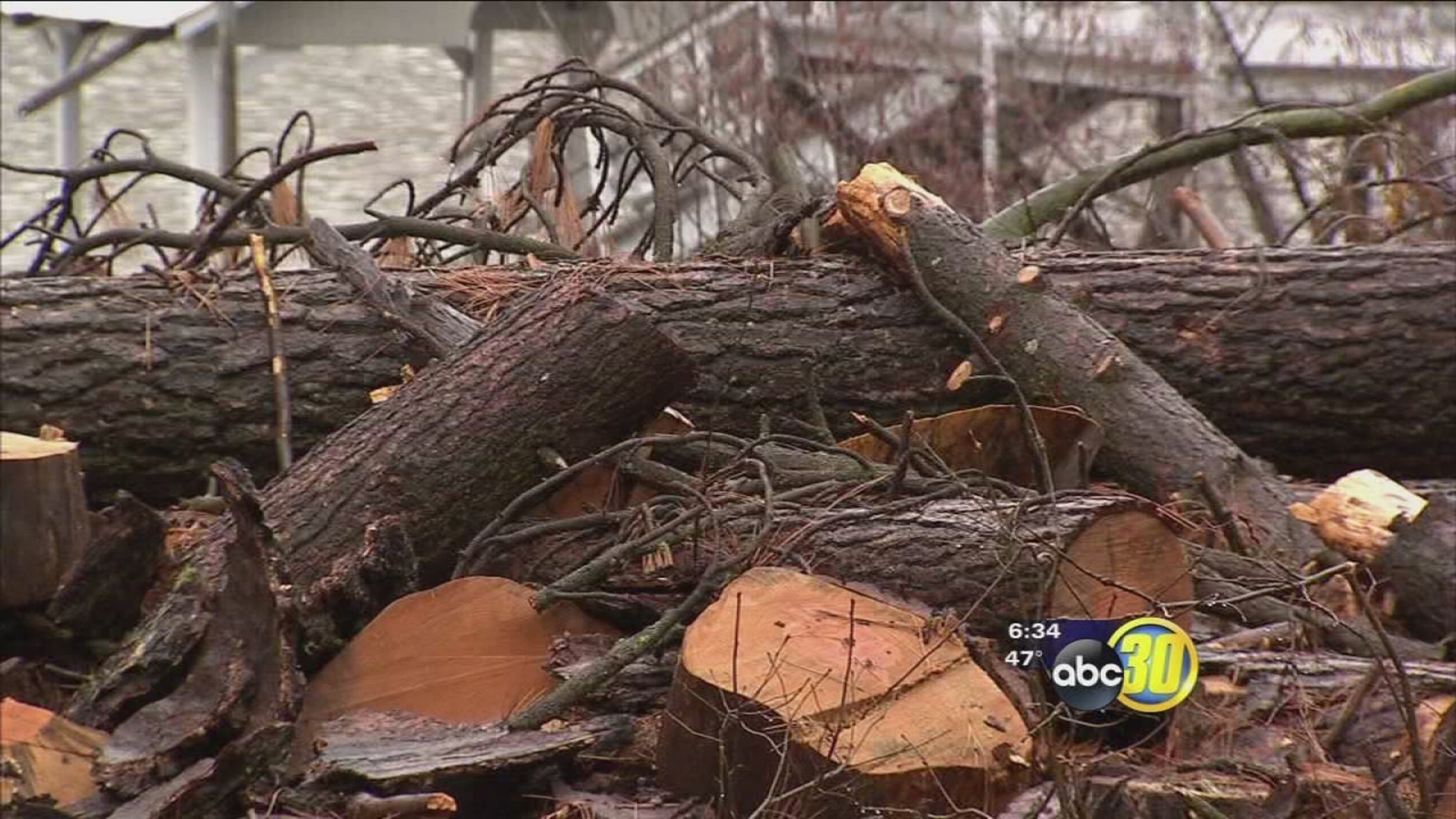 Dead tree problem in the Sierra has been turned into a hazard by storm ...