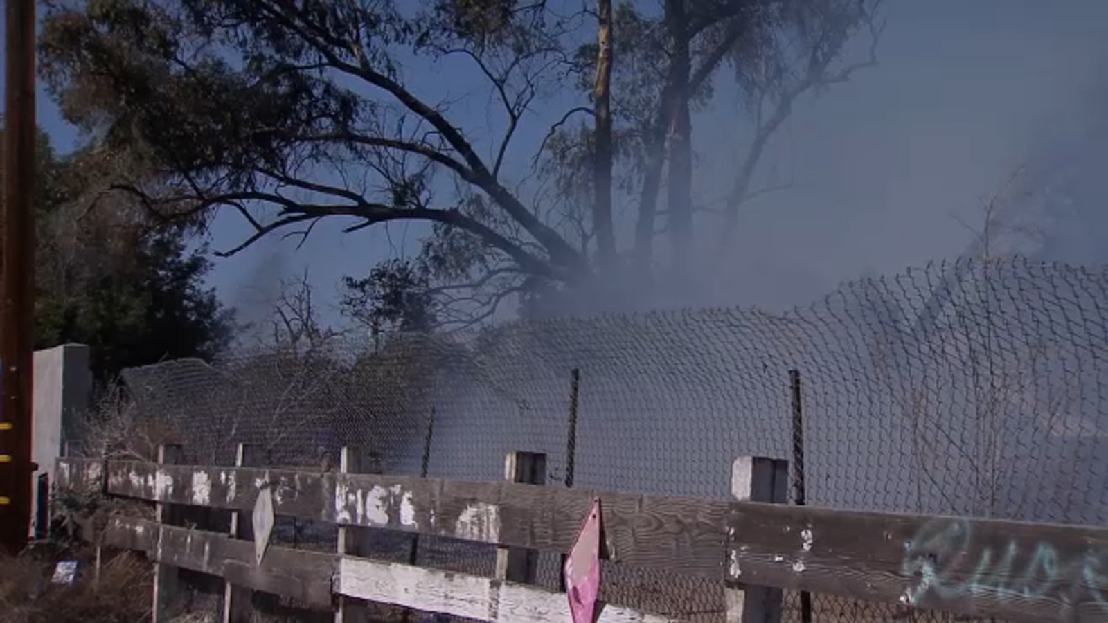 2 kids arrested for arson after setting off firework on grass in Lemoore, police say - ABC30 Fresno