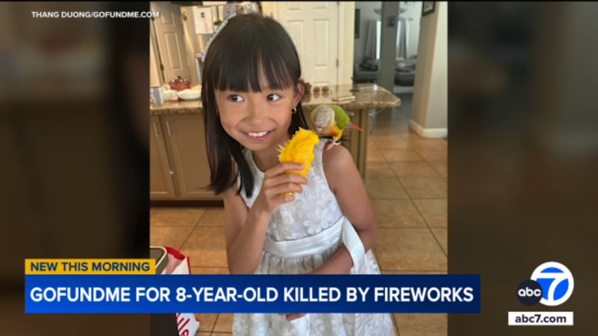 Eyewitness News at 6am - June 20, 2024 - ABC7 Los Angeles