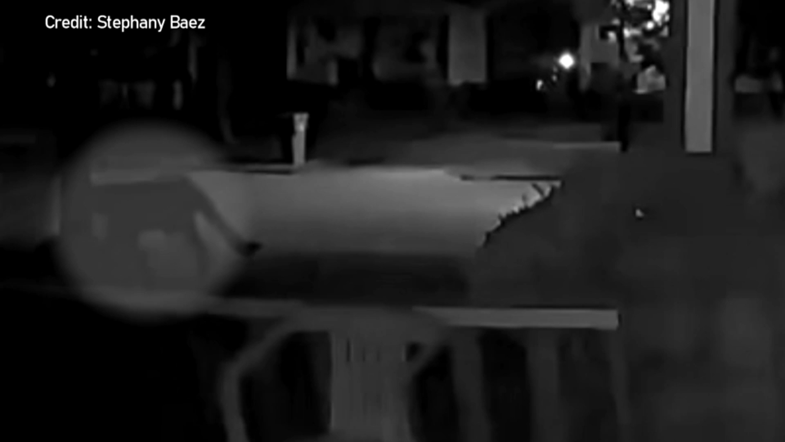 Rochester mountain lion: Witness describes possible big cat sighting in ...