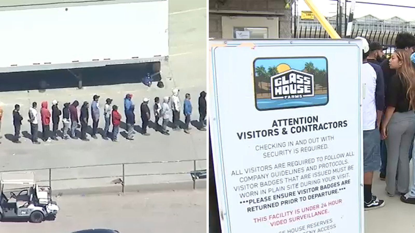 Over 300 arrested during immigration raids at Glass House cannabis ...