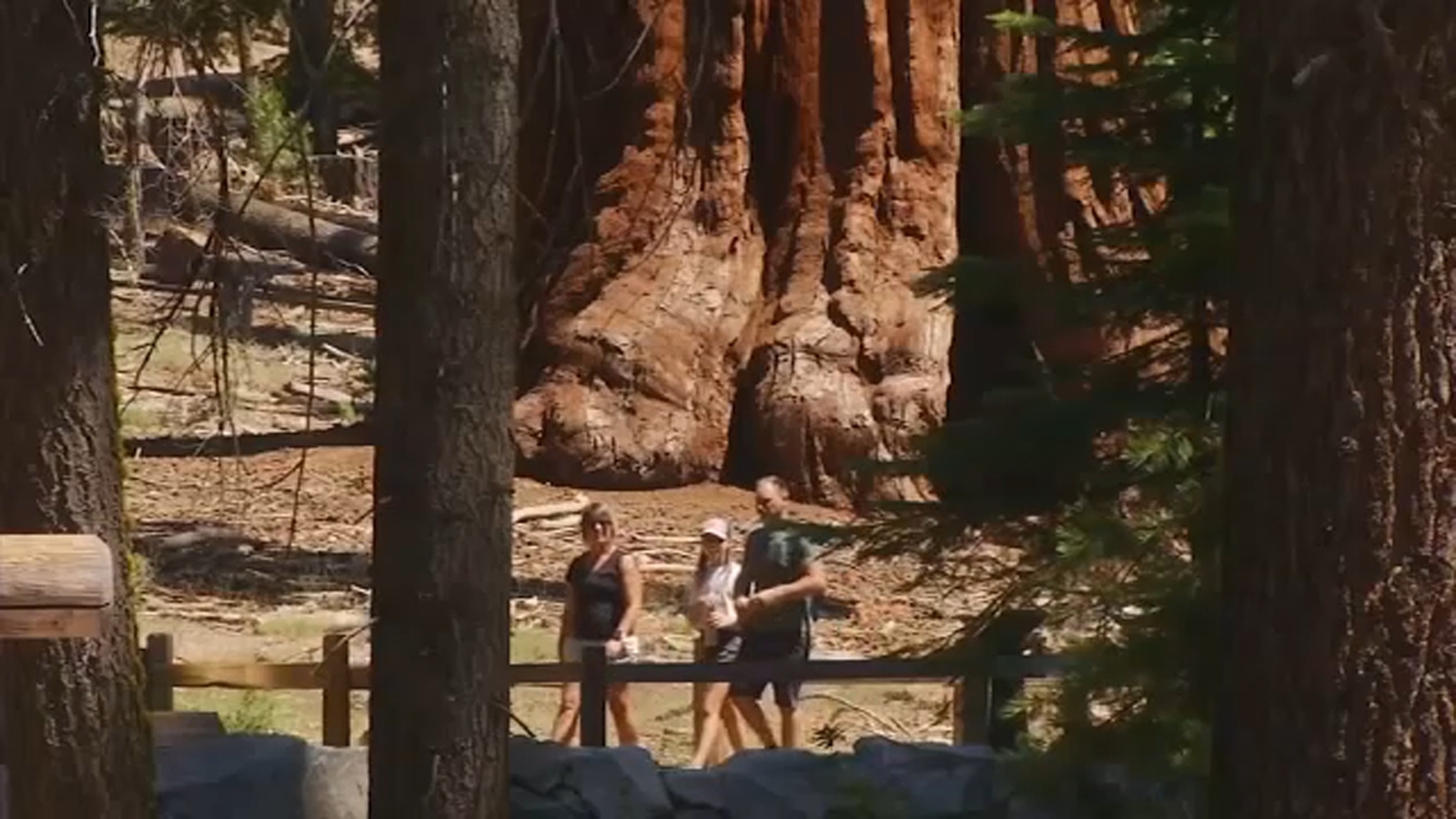 Hiking safety tips to help first responders if you get injured or lost ...