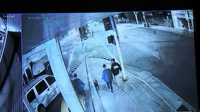 San Jose man Rohith Sunil faces murder charges, accused of killing woman Casey Way walking dogs ...