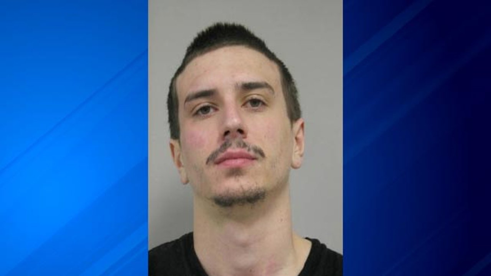 Man allegedly crashes car in Palatine, files false kidnapping report ...