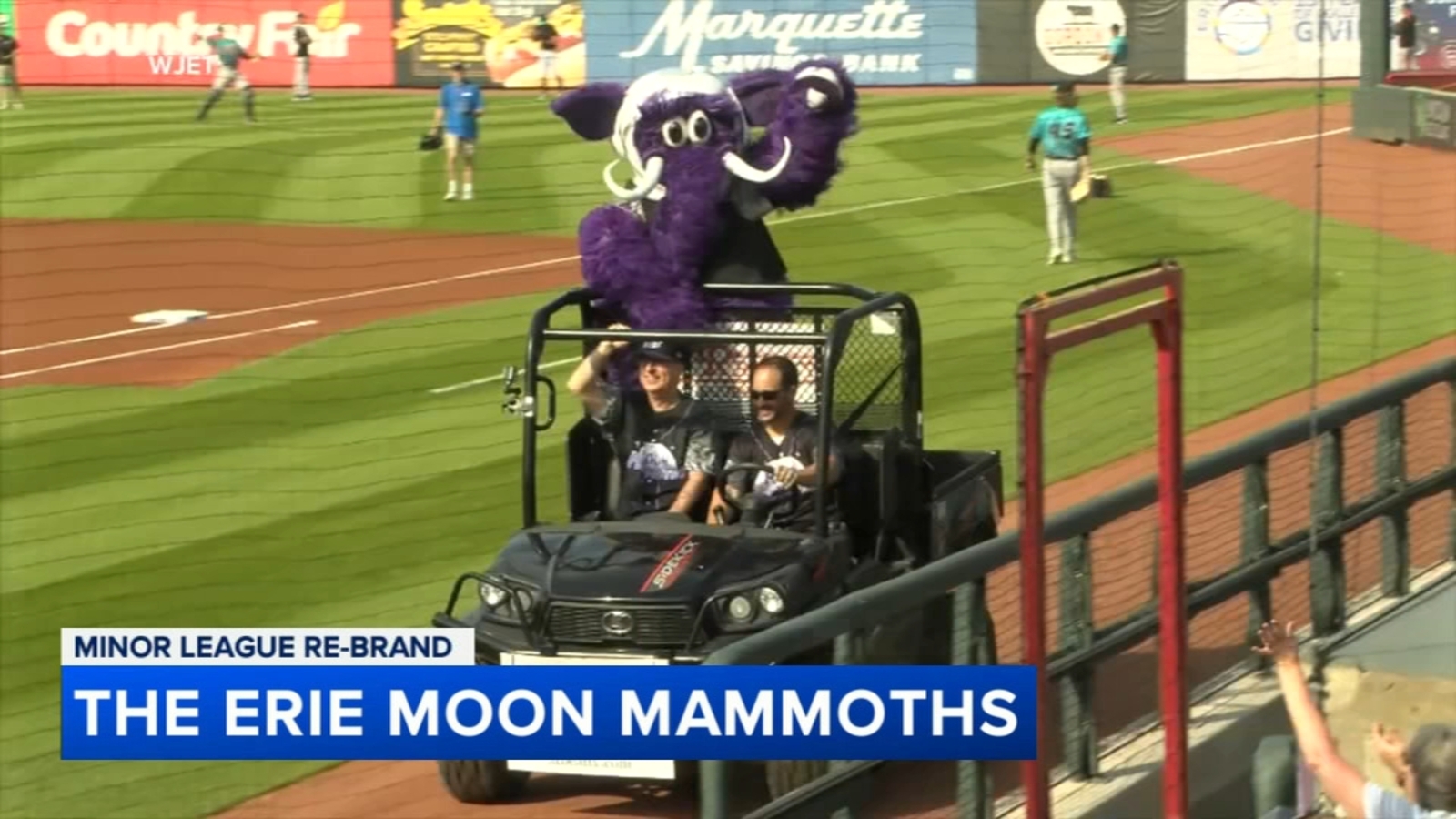 Erie Seawolves minor league baseball team gets temporary rebrand as ...