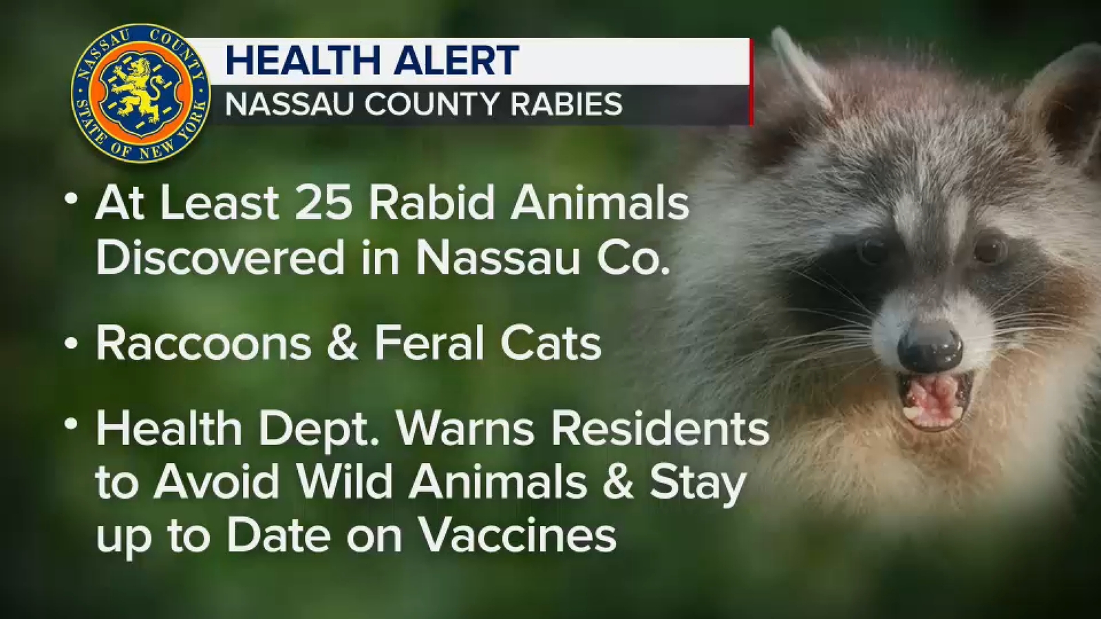 Nassau County warns residents about spread of rabies among raccoons and ...