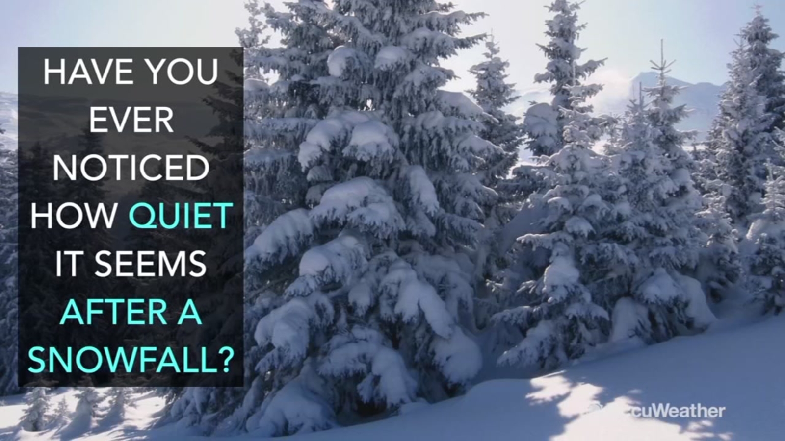 Why is it so quiet after a snowfall? - ABC7 Los Angeles