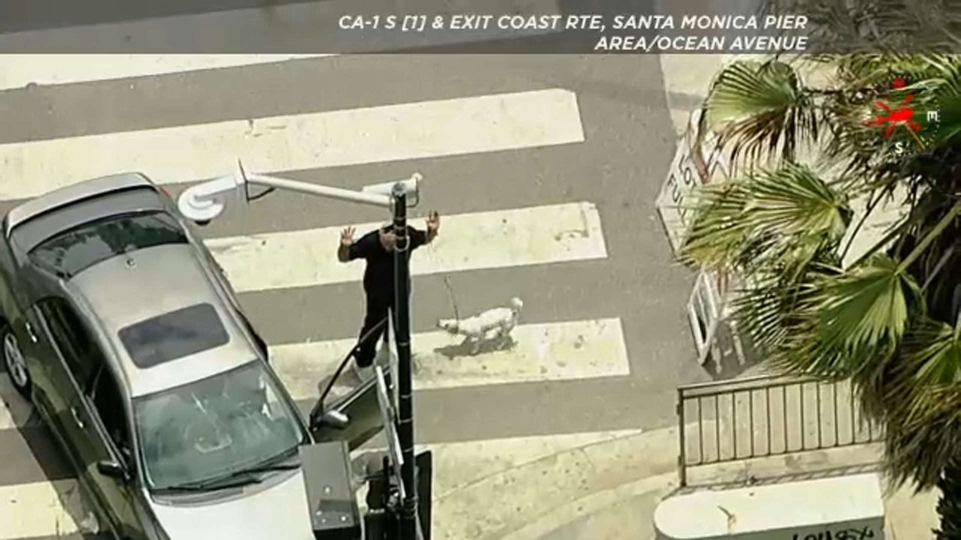 Armed suspect, dog in custody after leading LAPD on high-speed chase ...