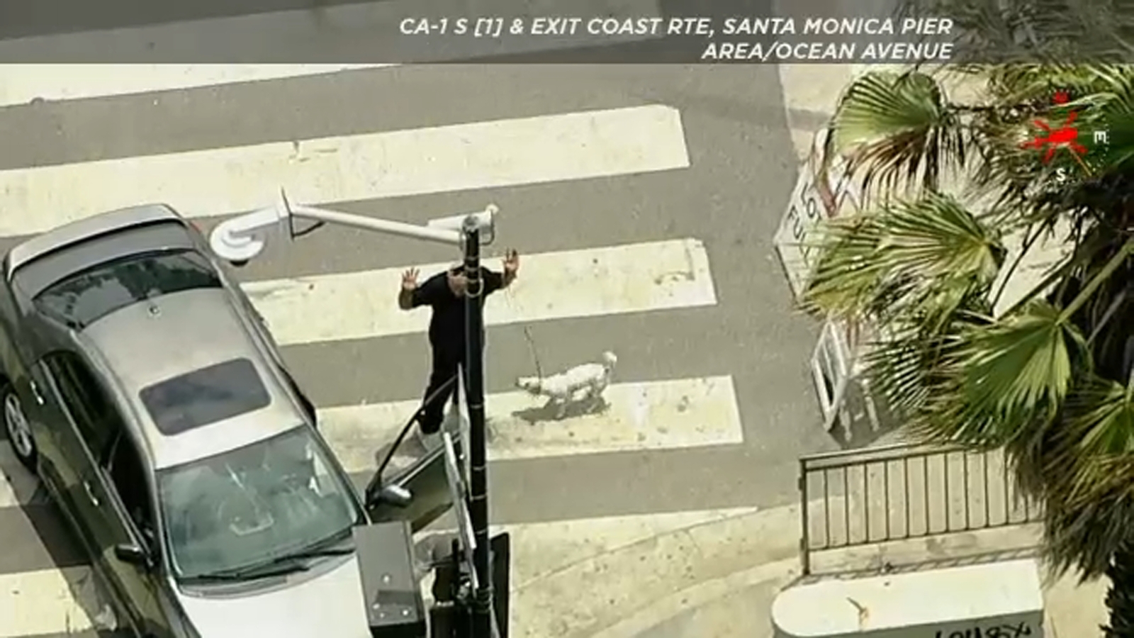 Armed suspect, dog in custody after leading LAPD on high-speed chase ...