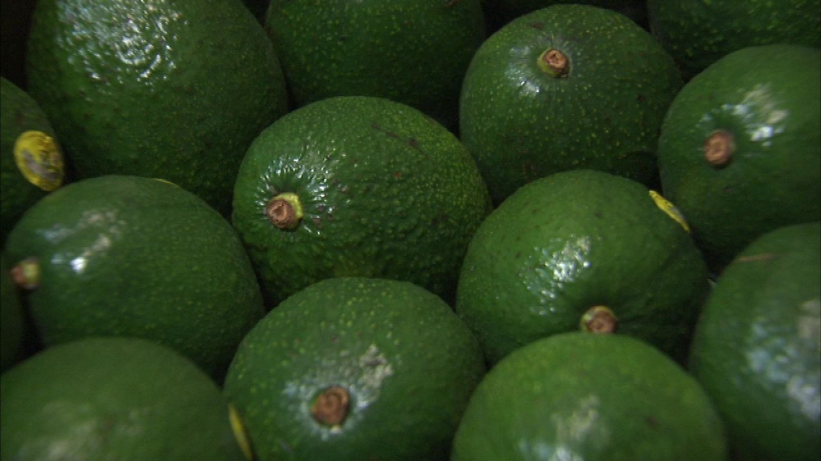 Avocado prices may rise with Mexican import tax - ABC7 Chicago