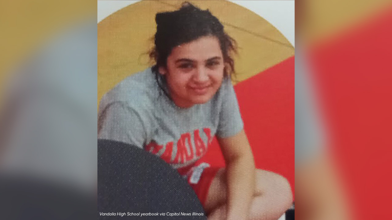 Mackenzi Felmlee: Illinois Department of Children and Family Services ...