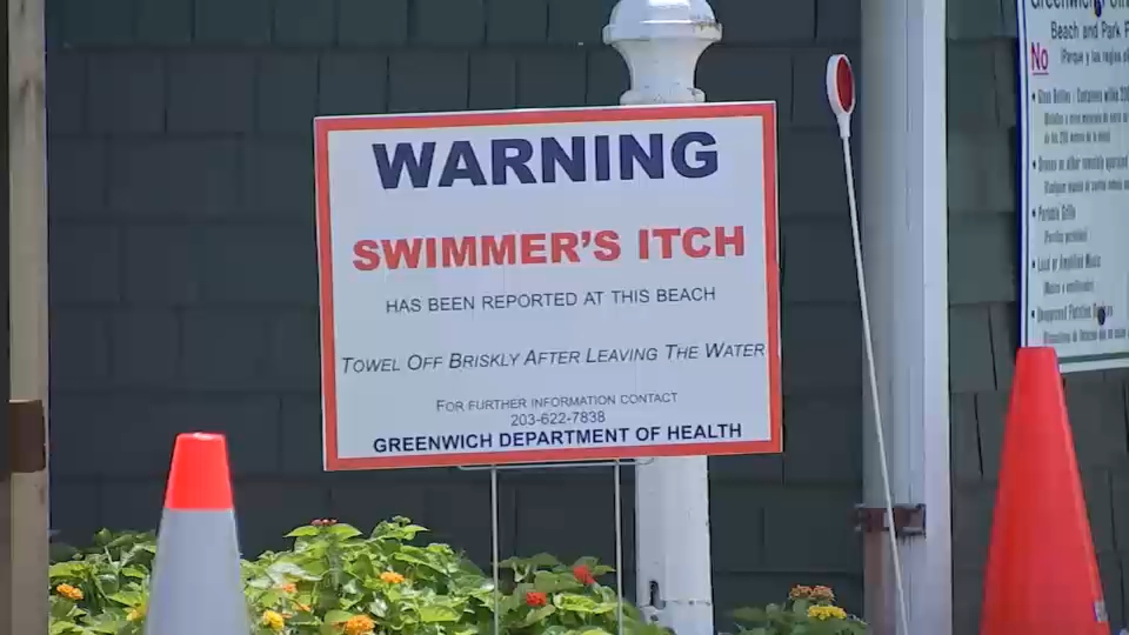 Health officials warn of Swimmer's Itch cases at Greenwich Point beach ...