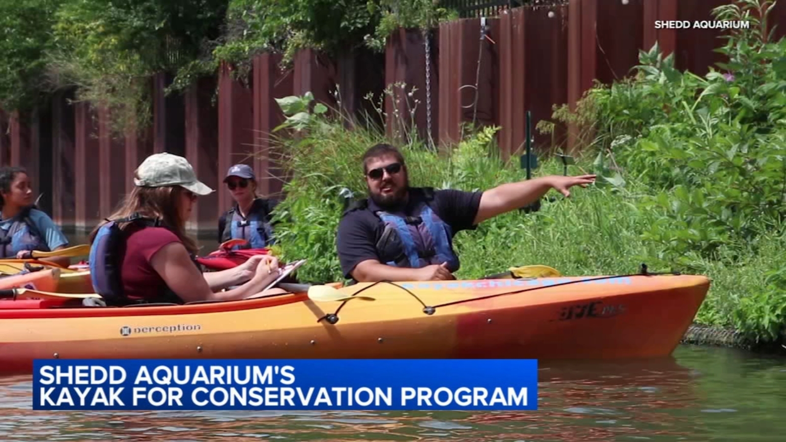 ABC News chief meteorologist Ginger Zee talks about Shedd Aquarium's ...
