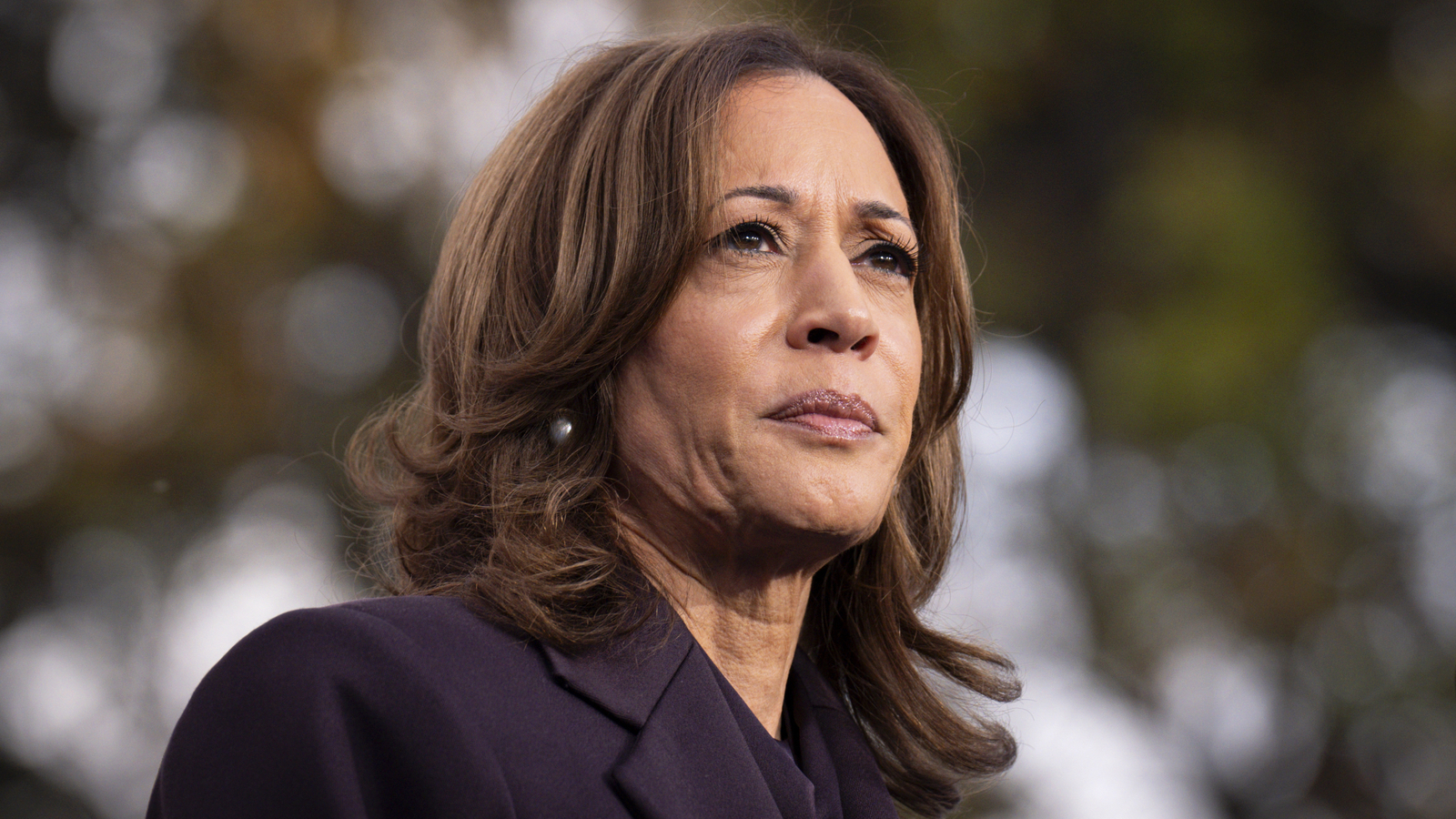 Kamala Harris will release '107 Days,' a behind-the-scenes look at her ...