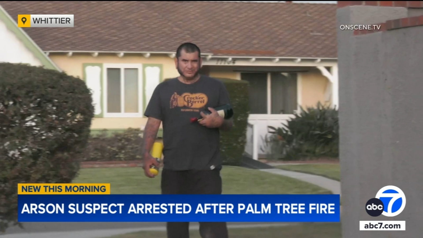 Man with apparent blowtorch arrested after palm tree set on fire in ...