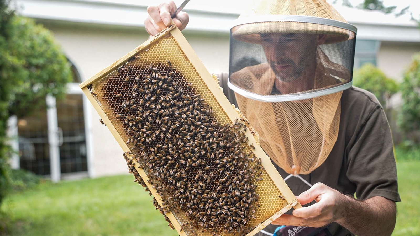 Beekeepers celebrate 70 years of 'sweet success' at NJ conference ...