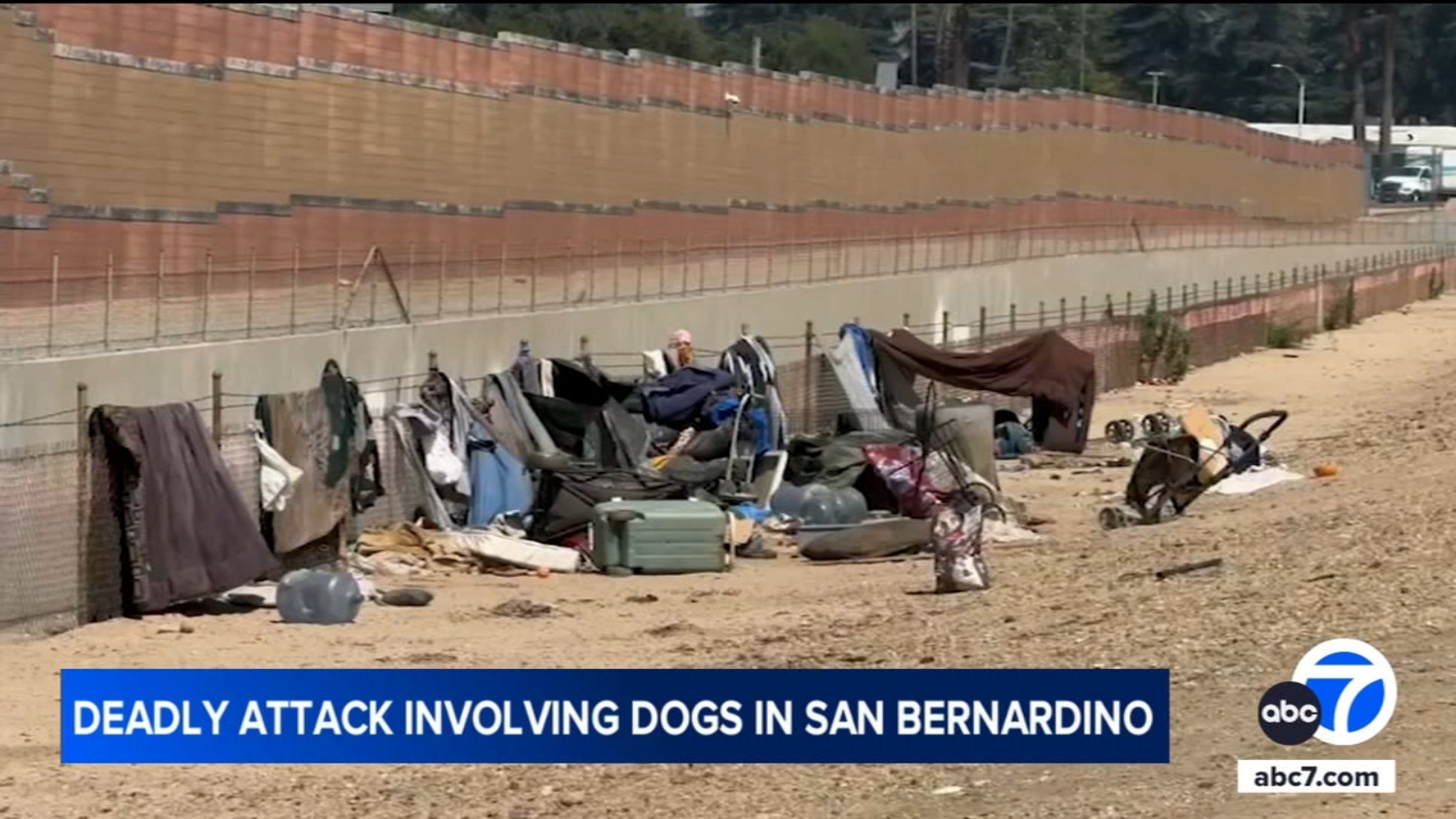 San Bernardino dog attack: Woman killed in suspected mauling near ...