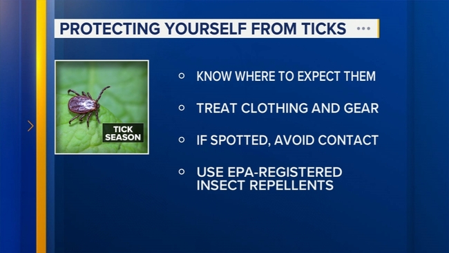 Steps to take to protect yourself against mosquitoes and ticks - ABC11 ...