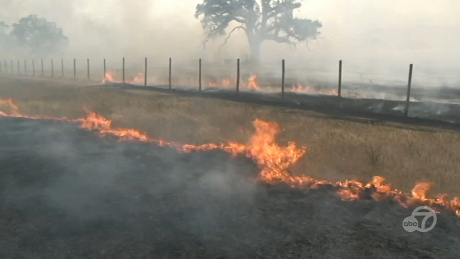 Lake Fire: Forward progress stopped at Lake County vegetation fire ...
