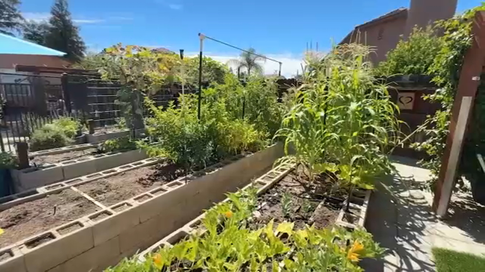 Vegetables Garden House