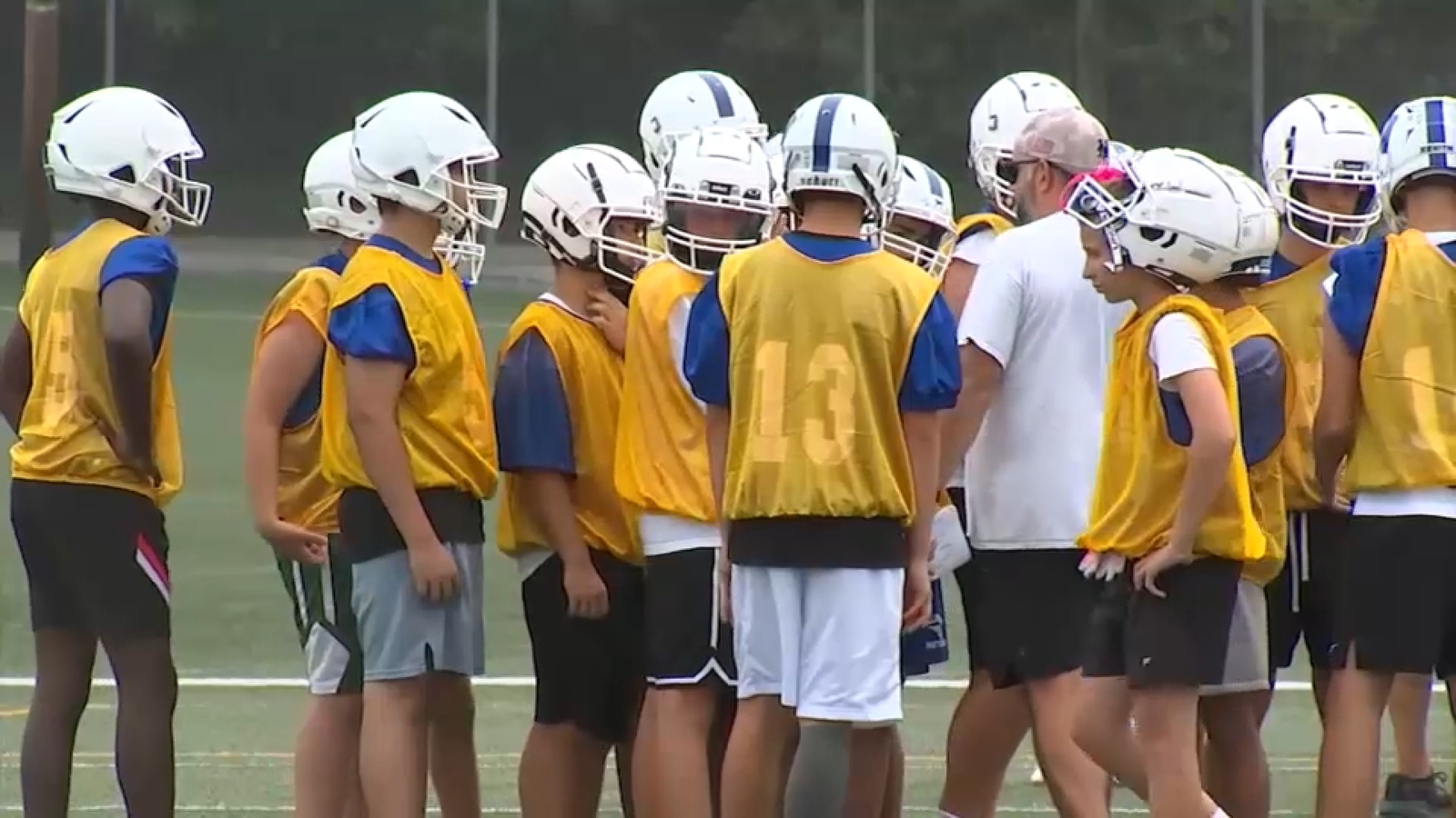 Wallington Jr. Panthers public school Jr. football and cheering teams ...
