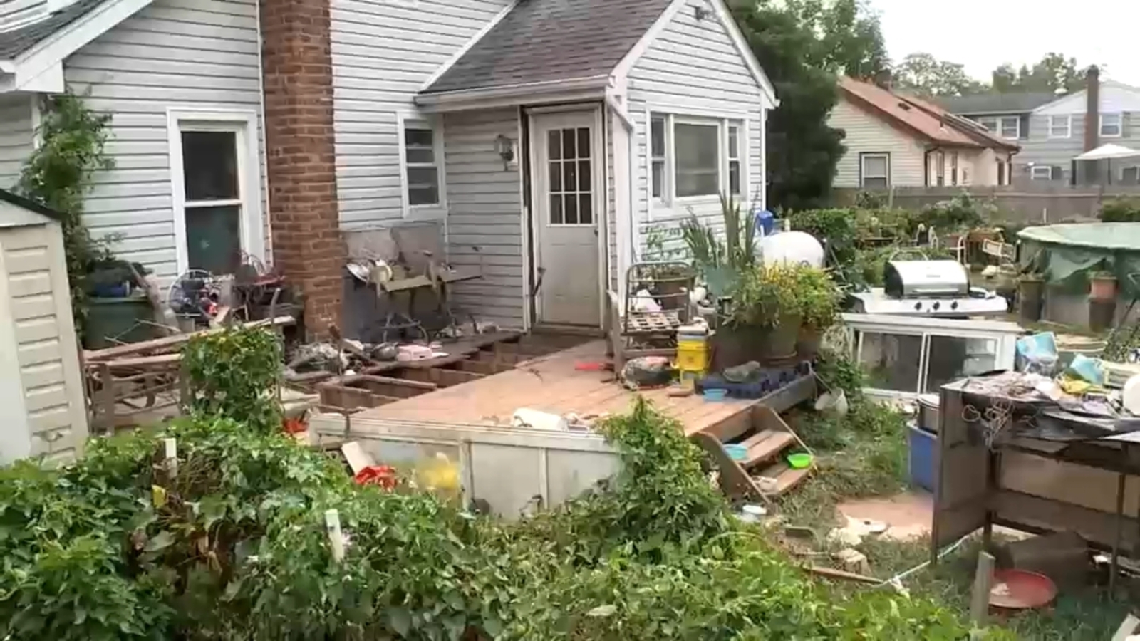 25 dogs rescued from Suffolk County home in 'deplorable condition' in ...