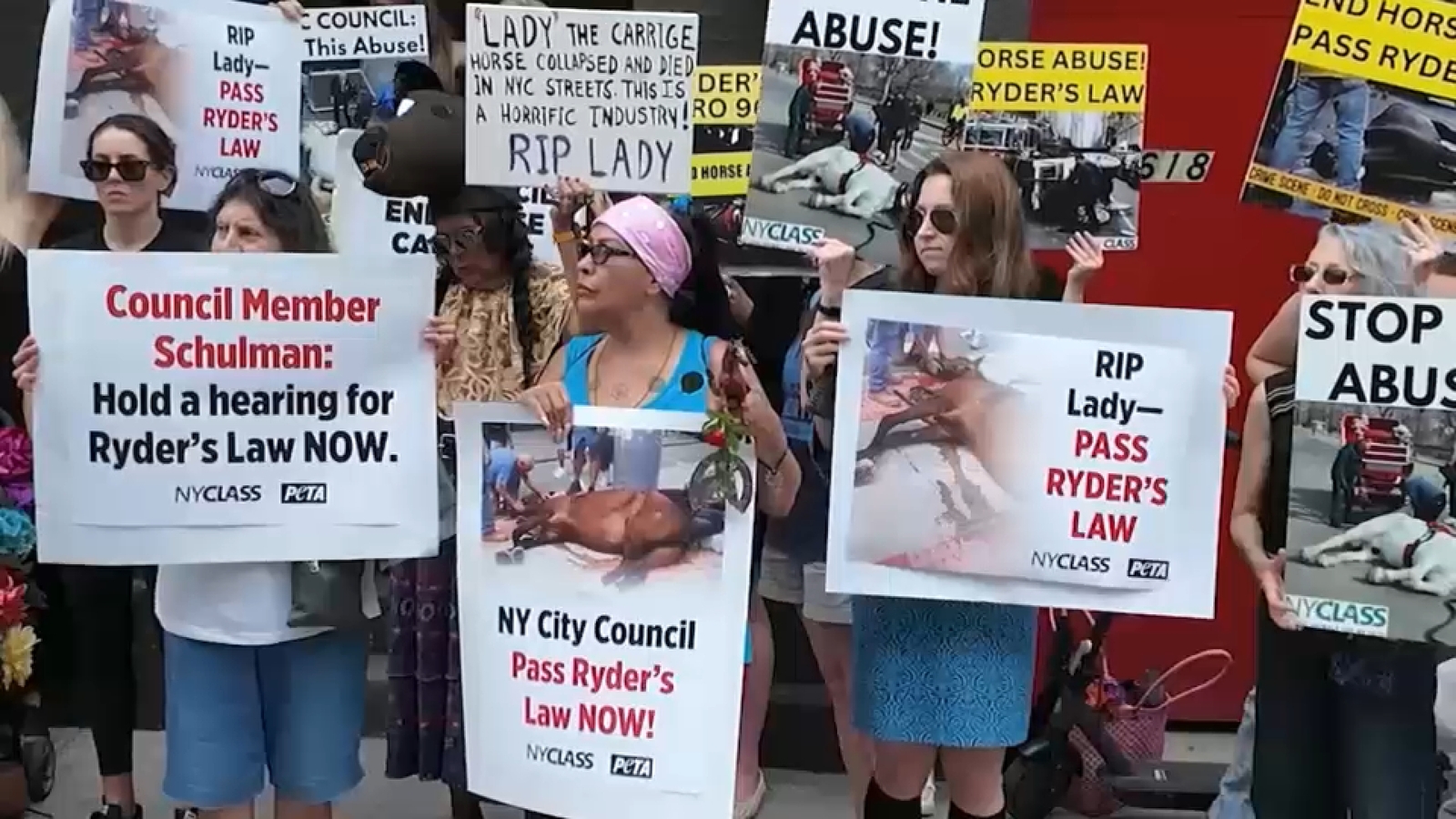 Carriage horse death on Hell's Kitchen street prompts renewed calls for ban in NYC - ABC7 New York