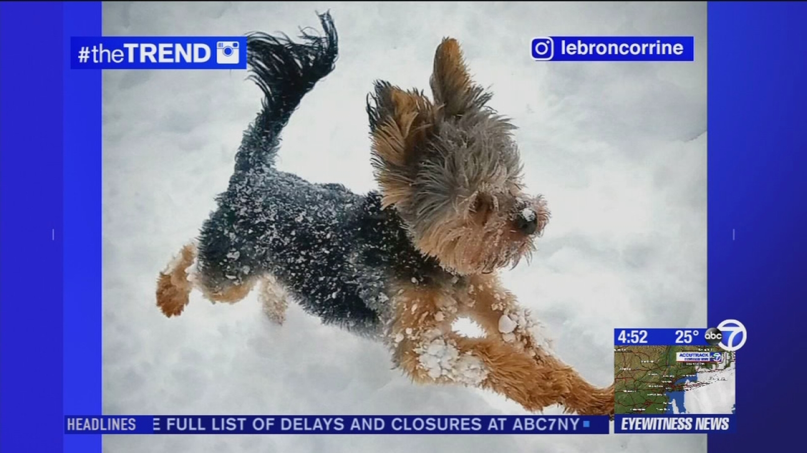 The Trend: Viewer snow photos - ABC7 New York