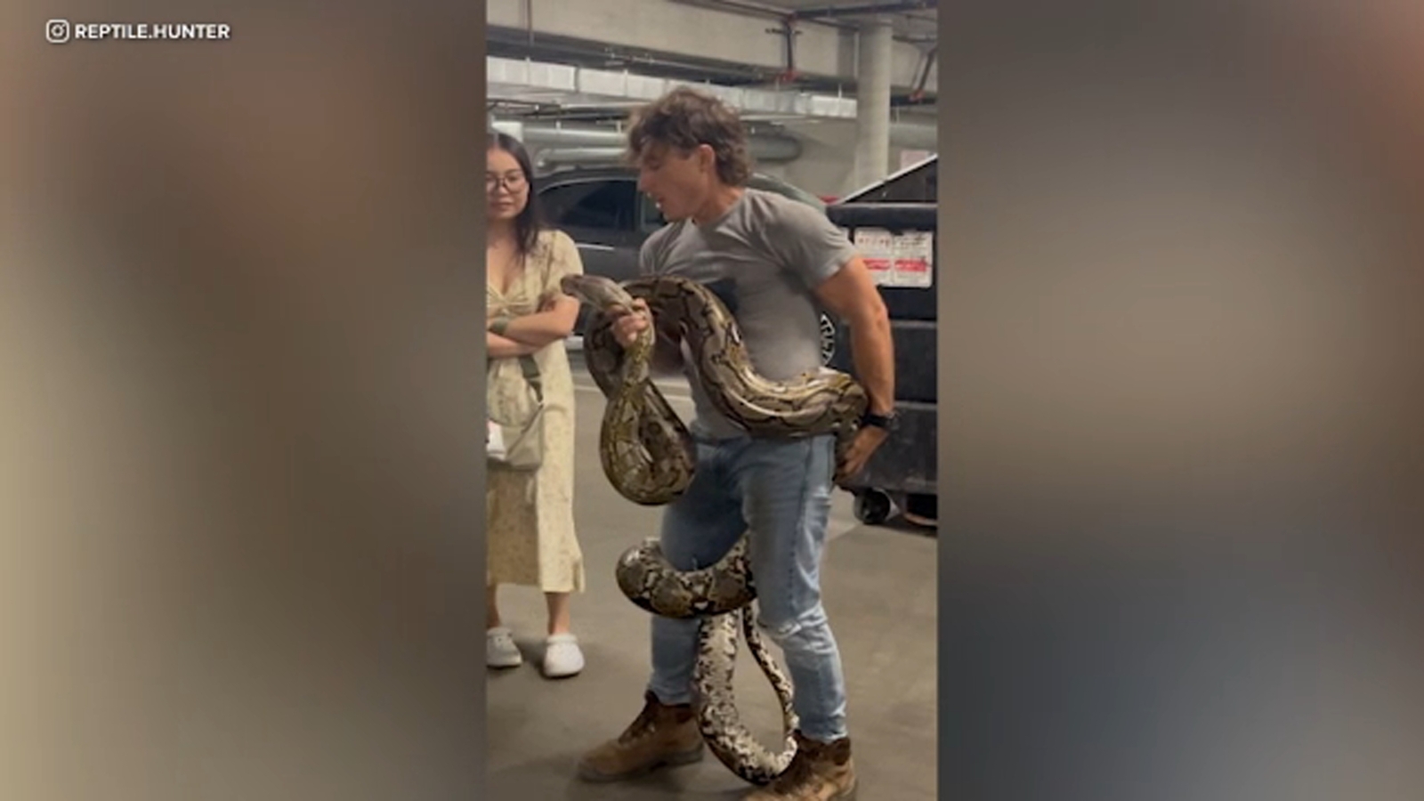 20-foot python found abandoned inside LA apartment complex dumpster ...