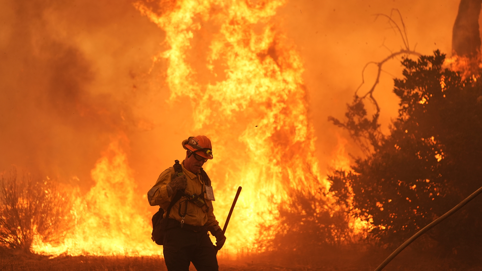 Thousands under evacuation orders after Canyon Fire explodes in Southern California - ABC30 Fresno
