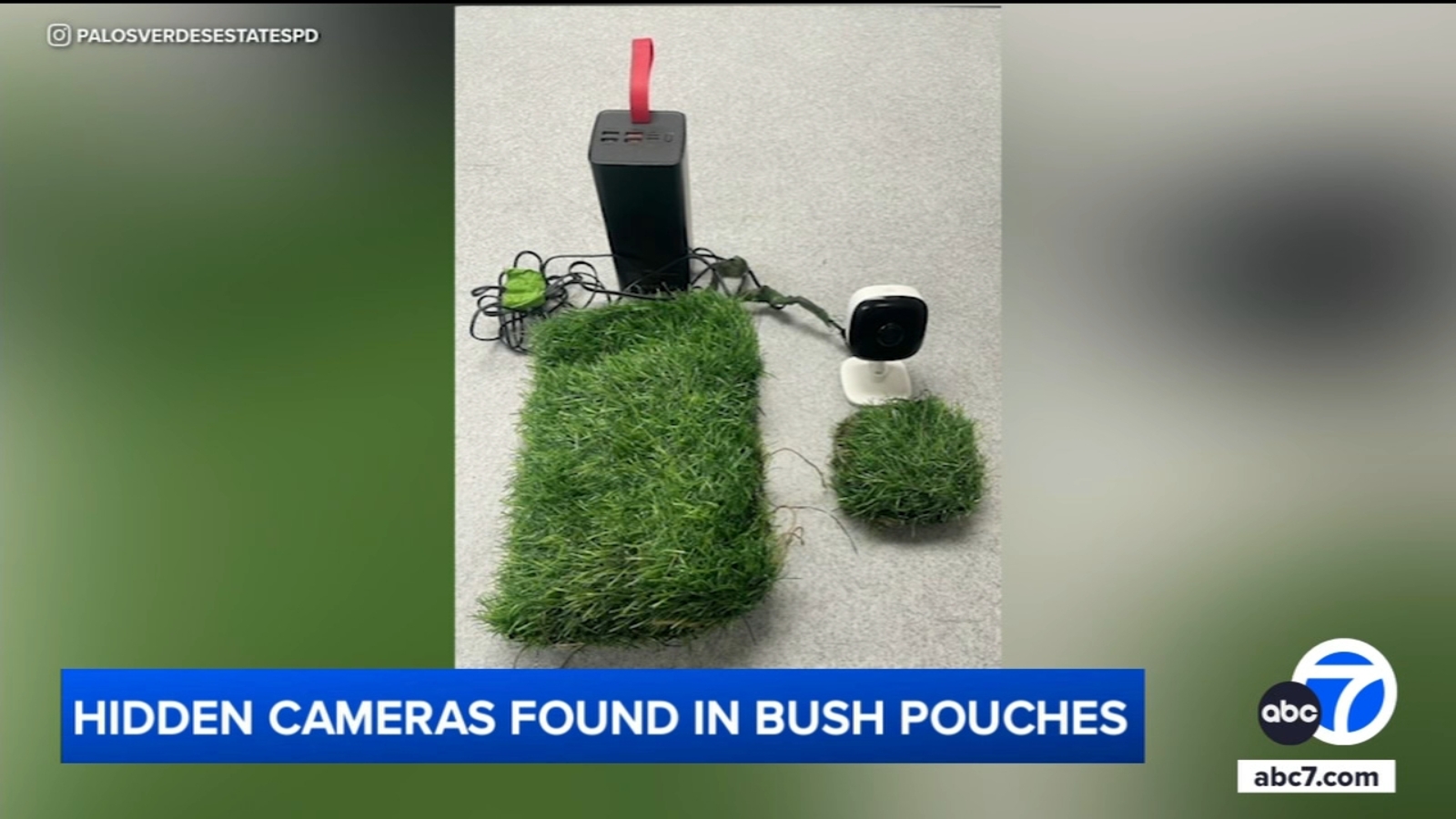 Hidden cameras found in bush pouches in Palos Verdes Estates - ABC7 Los ...