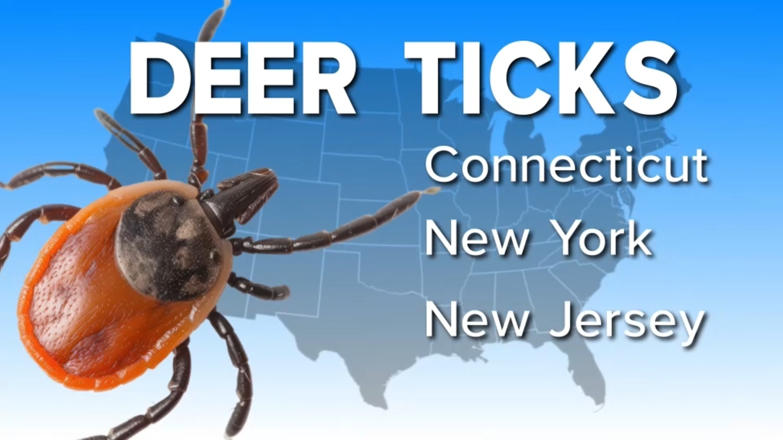 Tips to prevent tick bites and recognize symptoms of Lyme disease | 7 ...