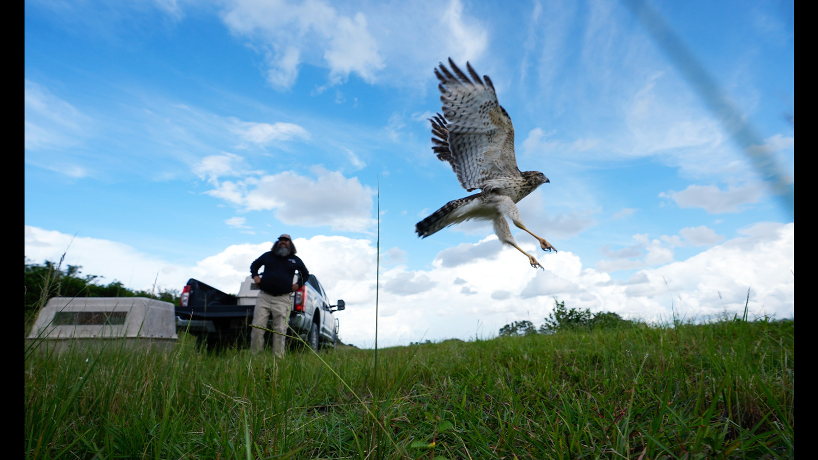 Miccosukee Tribe: Meet the Native American tribe that beat the Trump ...